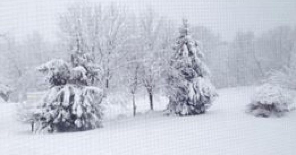 Photos: Readers submitted their photos of winter storm Linus