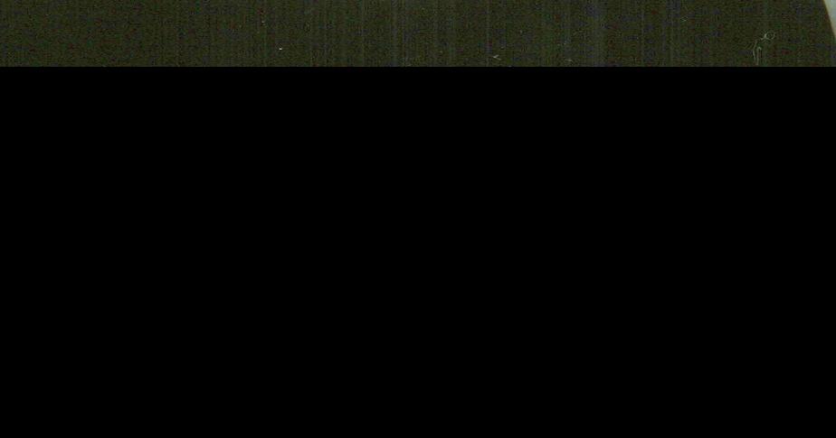 Susan Gayle Olinger Dwyer