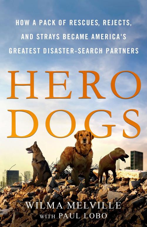 REVIEW: 'Hero Dogs' tells tales of pups in action | Fun and ...