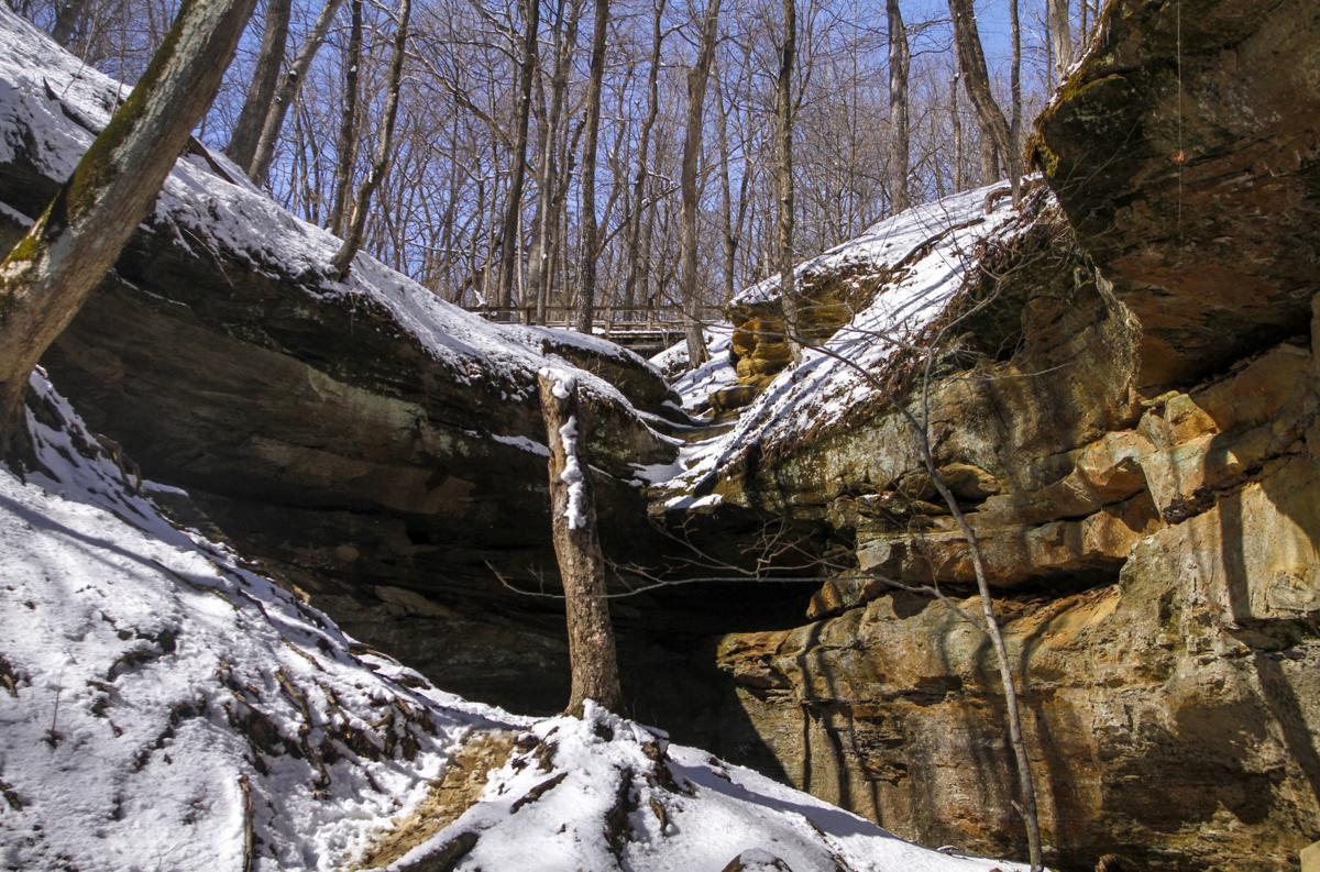 Wildcat Den State Park to offer First Day hike | Muscatine | qctimes.com