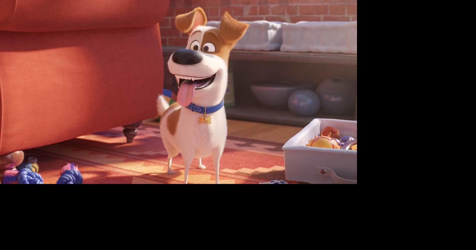 'The Secret Life of Pets 2' is cute enough to be worth your time
