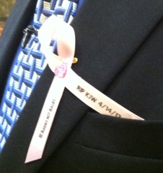 Anti-bullying advocates gather at Statehouse | Government and Politics ...