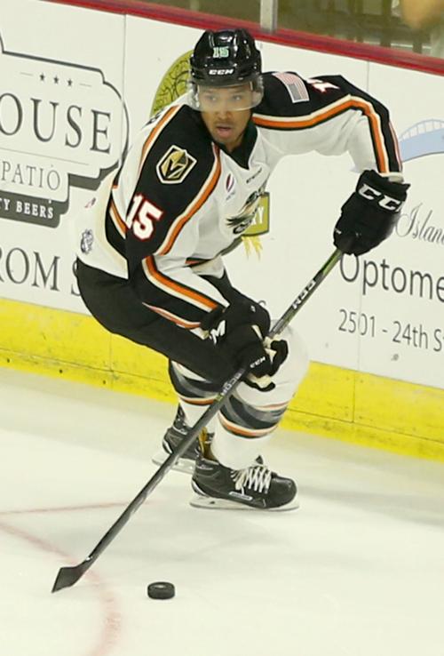 ECHL notes: Kolesar making most of ECHL time | Quad-City Storm Hockey ...