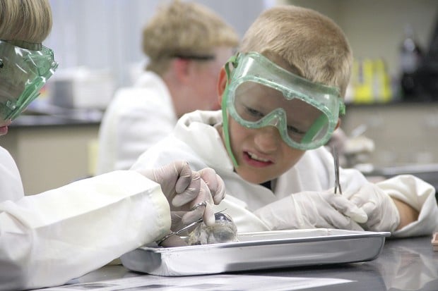 Students study cow eyeballs during summer camp lab