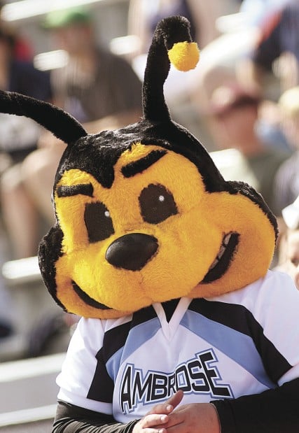 SAU football | Local News | qctimes.com