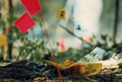 1994: USAir Flight 427 | History | qctimes.com