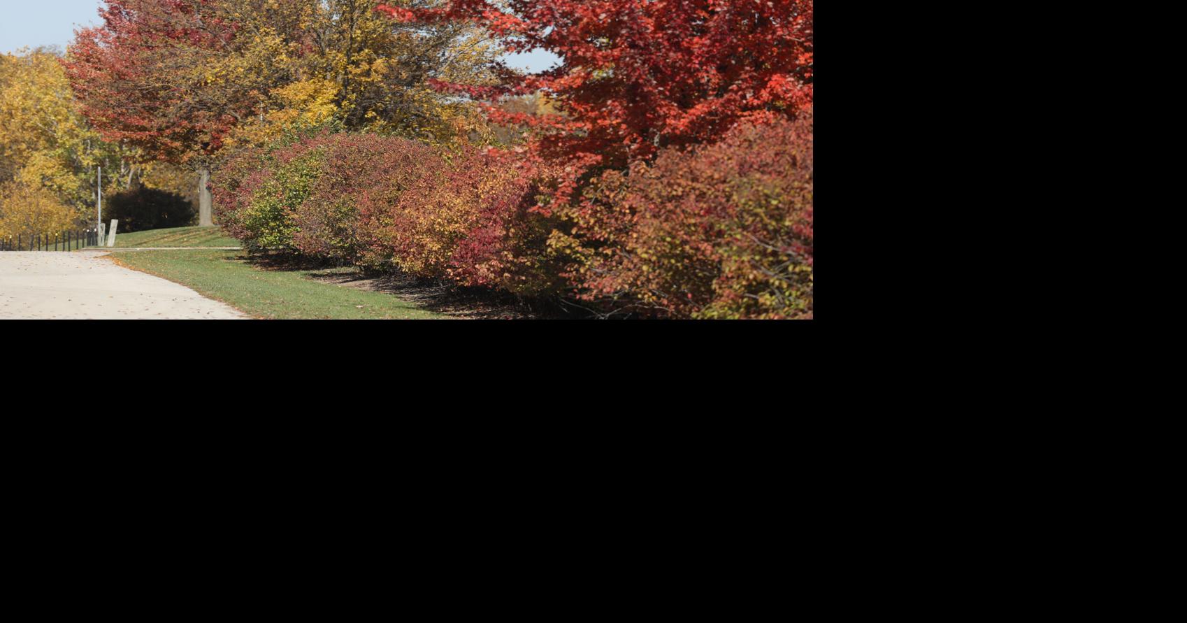 Fall festivals in Iowa to visit