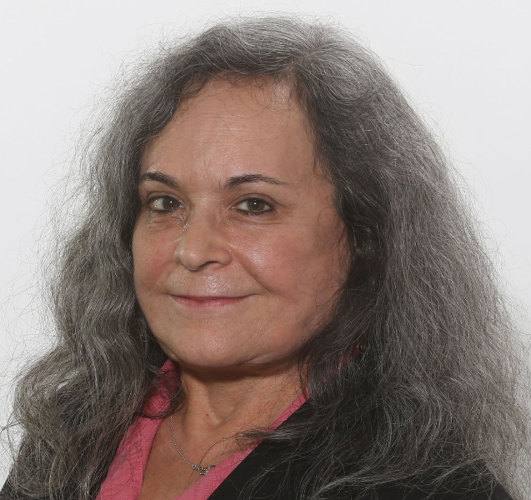 Noon update: Mostly sunny, American Pickers' 8th season and Linda Cook ...