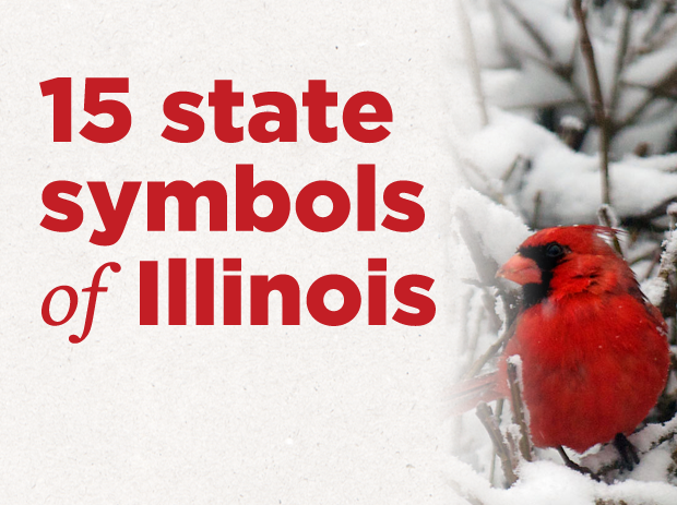 15 state symbols of Illinois