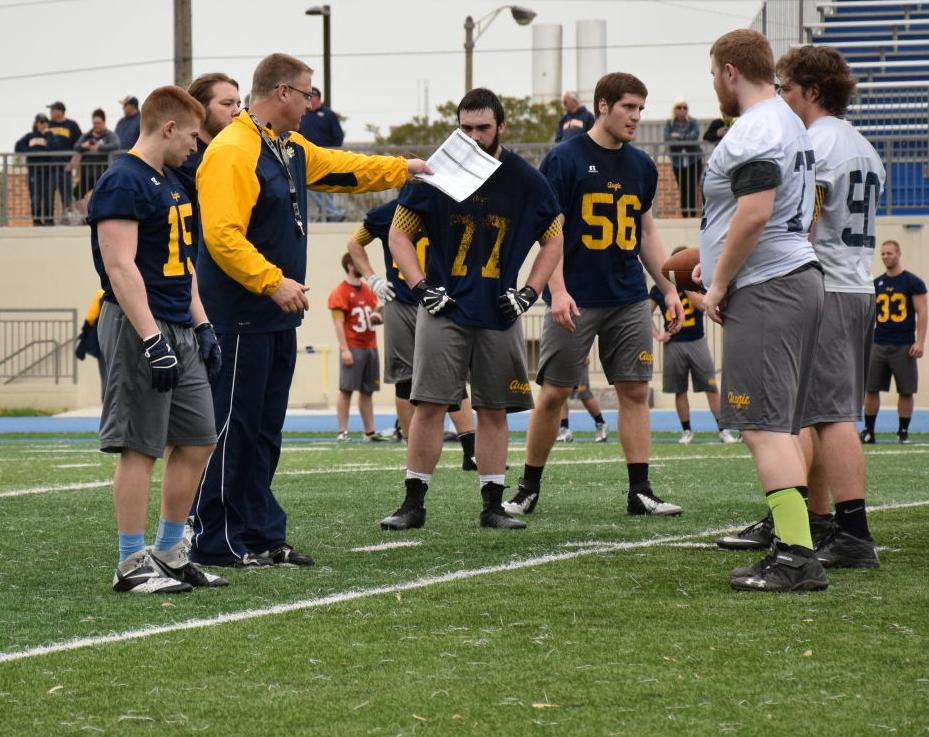 New-look Vikings ready for new-look season