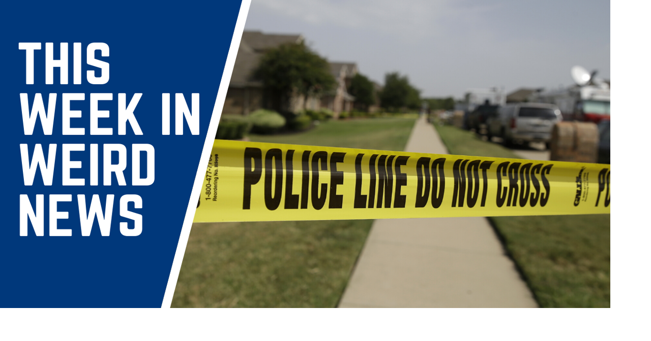 SWAT team breaks up children's party while chasing suspect, and more of ...