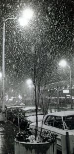 Historic snowstorm photos, papers