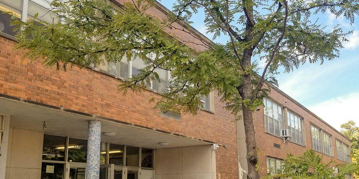 The more trees around the school, the better the test scores