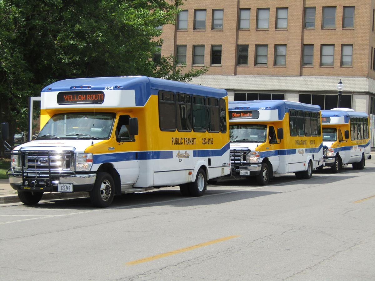 Council approves grant application for electric buses