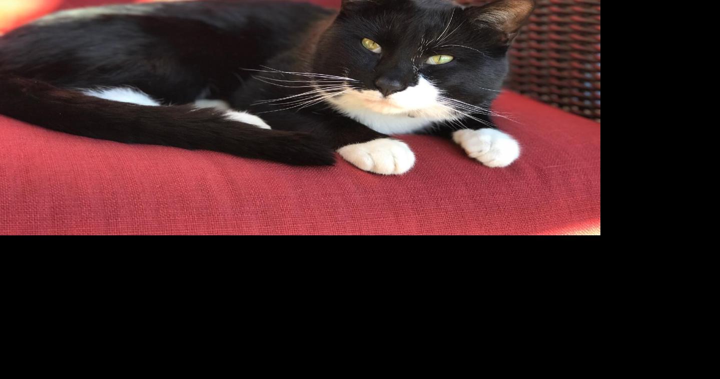 'This type of behavior is a deep sickness': Rock Island family finds ...