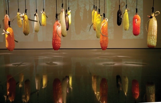 Donor purchases corn installation for Figge Art Museum