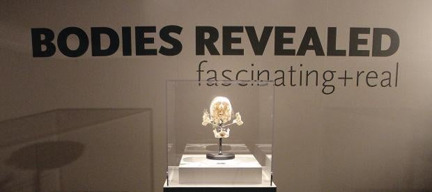 "Bodies Revealed" exhibit