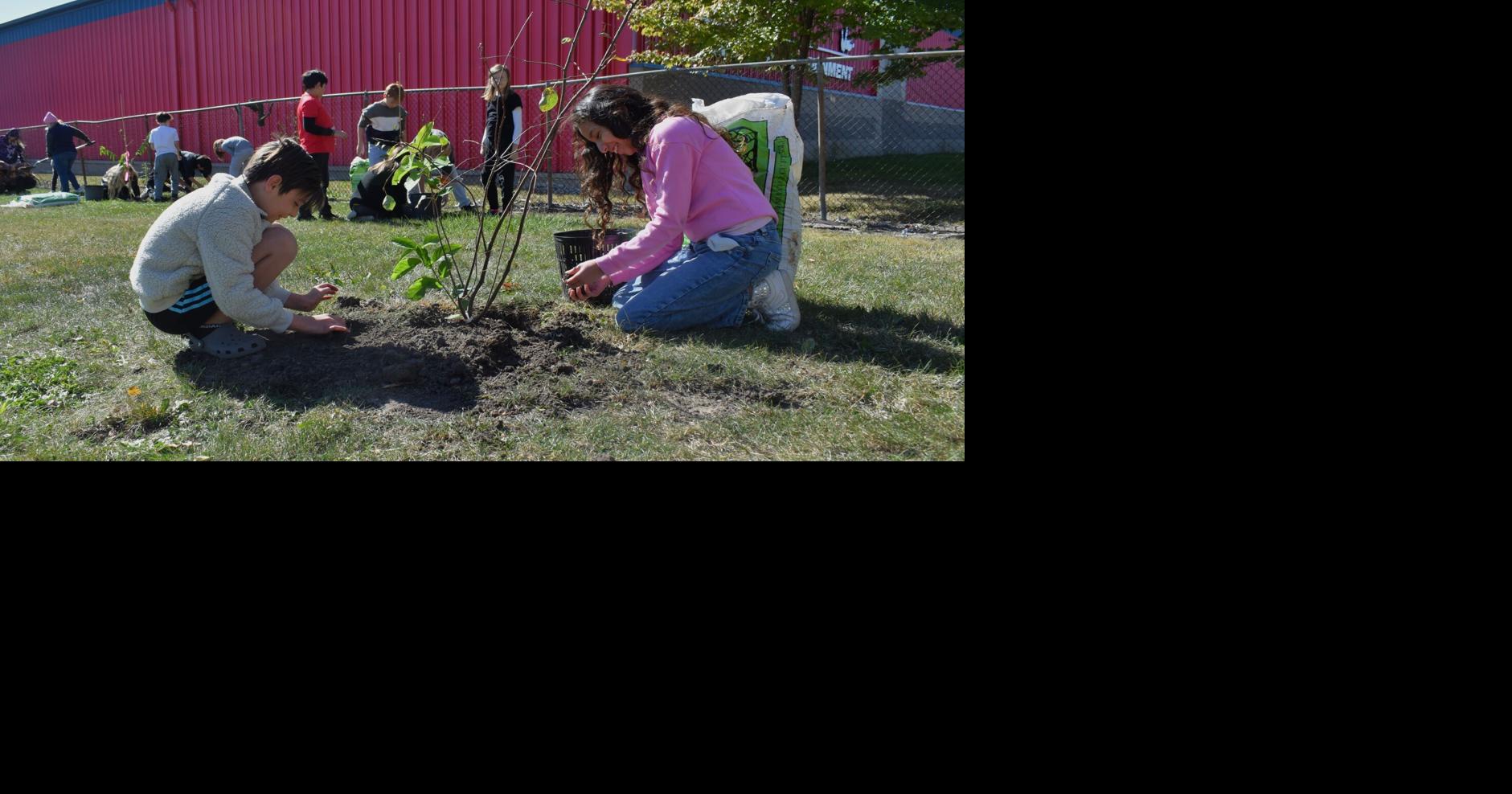Moline students plant trees for Illinois Extension "Urban Tree Equity ...