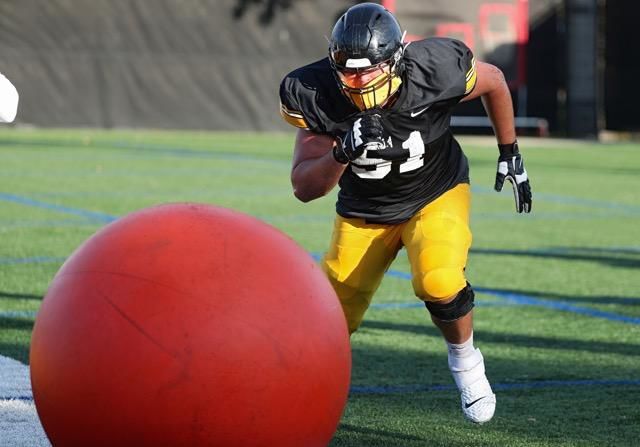 Newcomer Cronk provides Hawkeyes experience