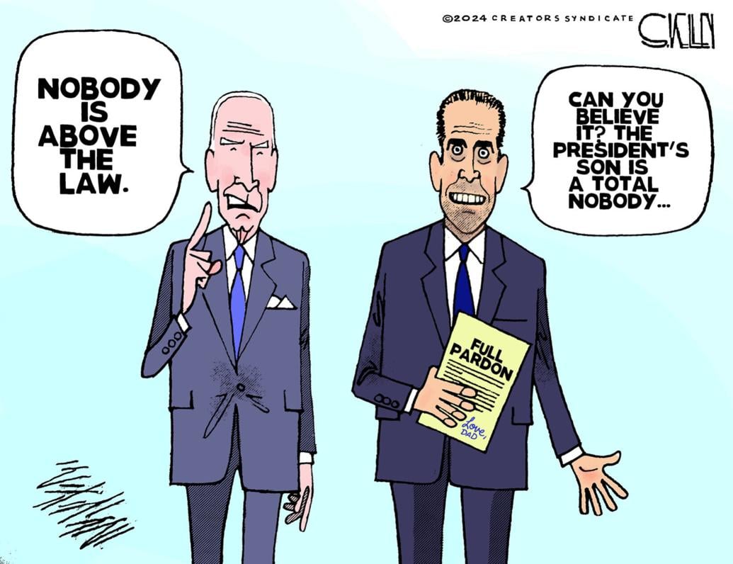 10 political cartoons pan Hunter Biden's pardon