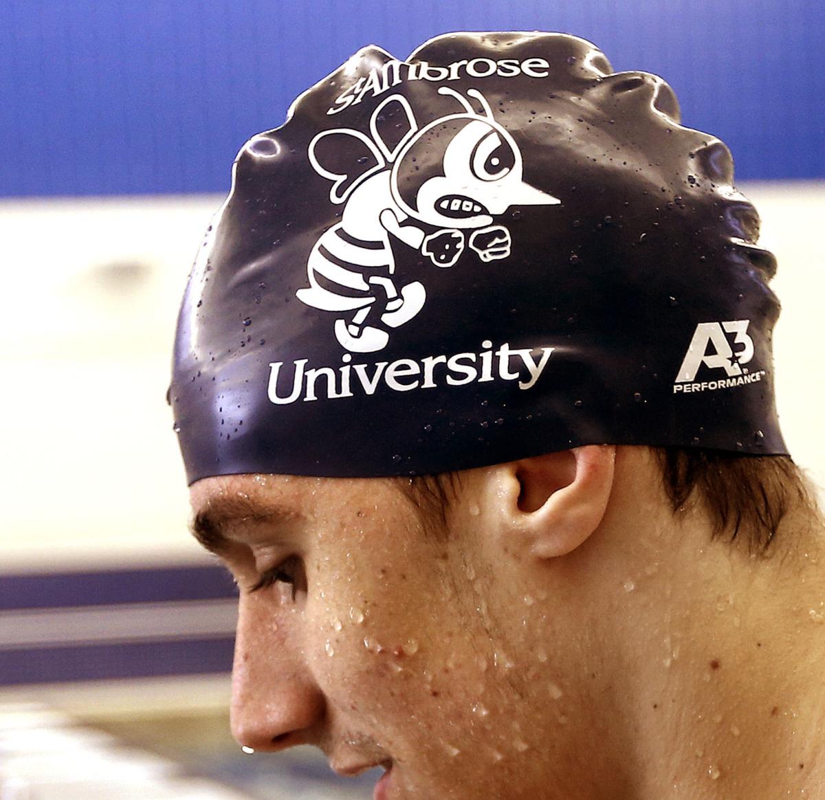 Bees swimming program ready to make a splash | St. Ambrose Sports ...