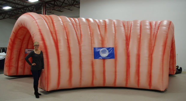 Take a trip inside giant inflatable colon