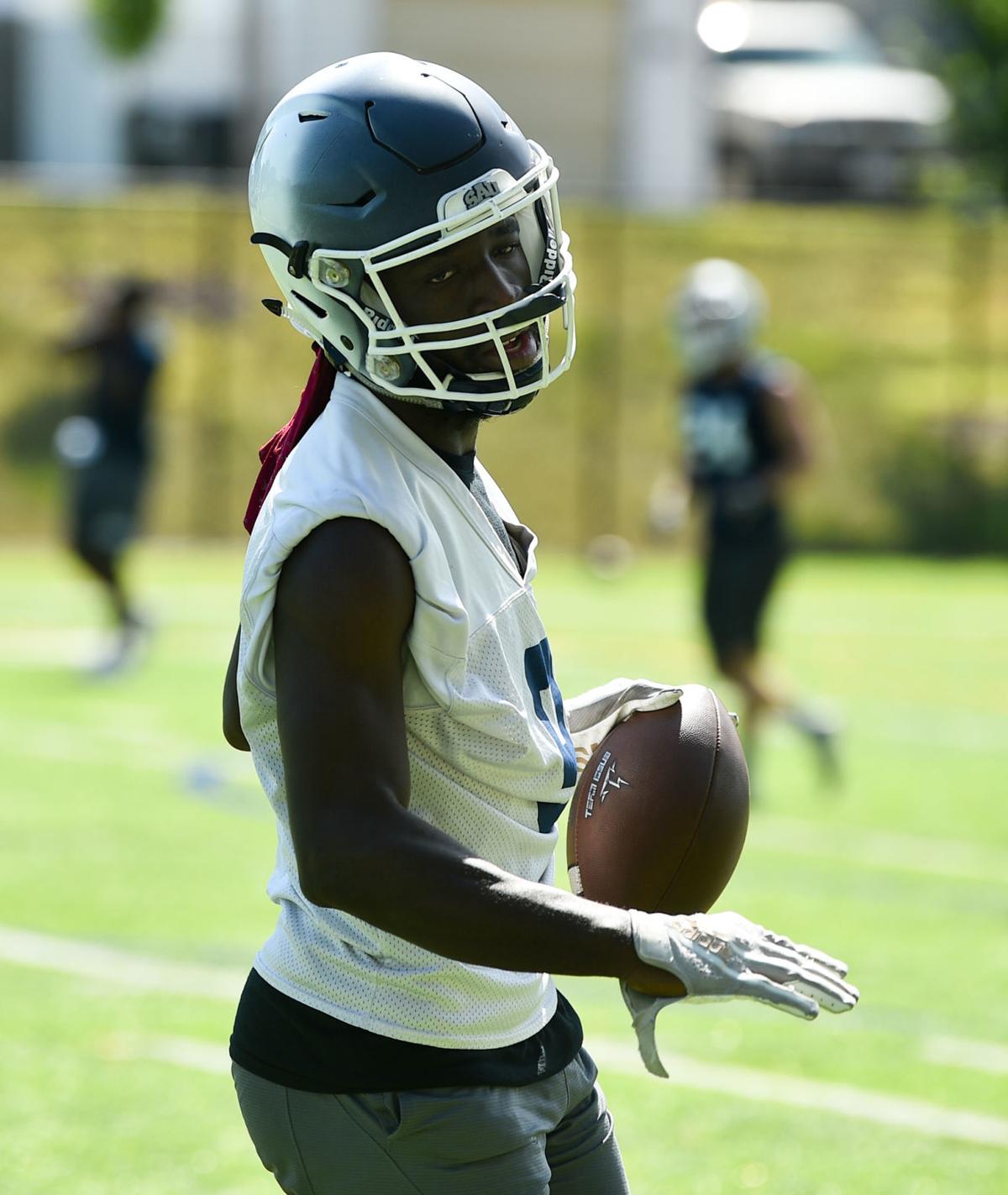 Hawkins enjoying position change for Bees | St. Ambrose Sports ...