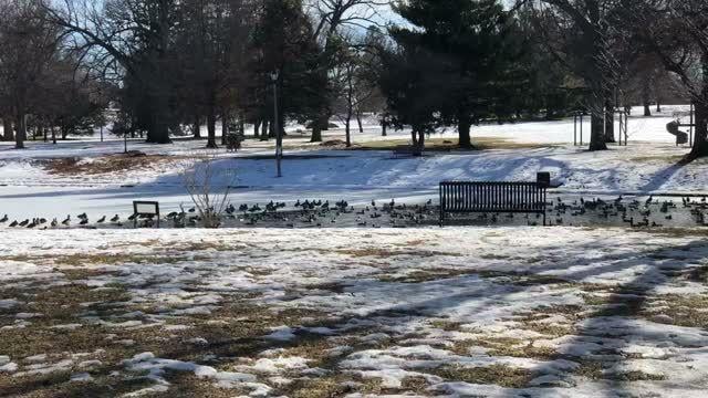 Vander Veer Park, Davenport | Weather | qctimes.com
