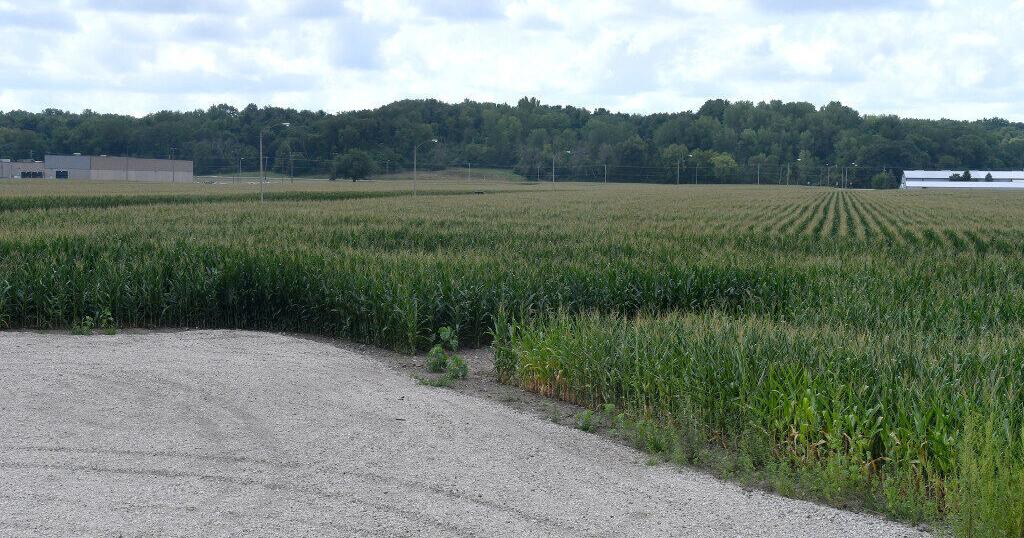 What is Moline's proposed transfer station and why are some opposing it?