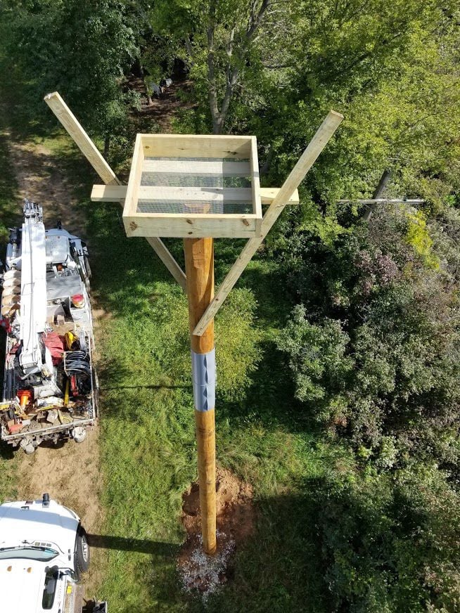 Attracting osprey: River Action hopes two nesting boxes will attract ...