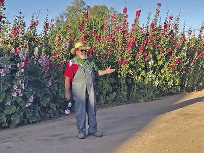 San Tan Valley farmer confronts big challenges | Community ...