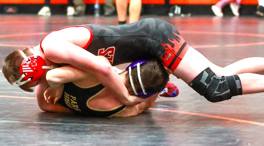 Five Red Devil wrestlers qualify for state tournament | Sports ...