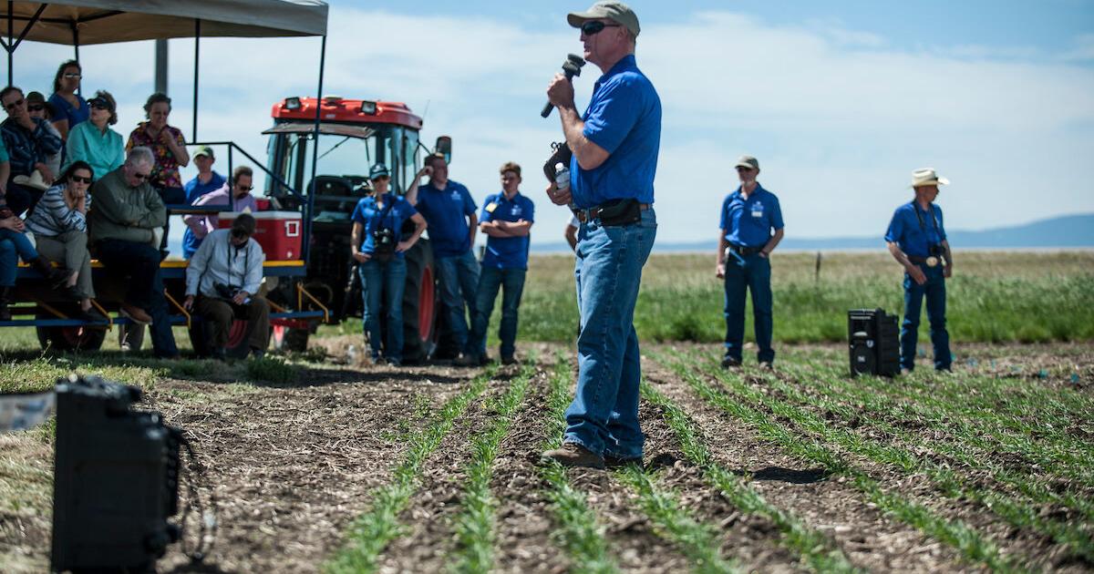 Work at Montana State’s Central Ag Research Center aims to help Montana ...