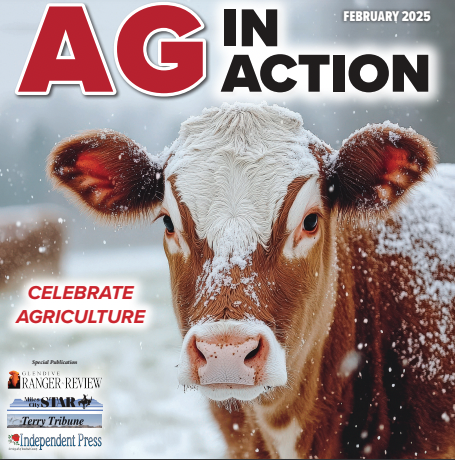 Passing the torch: A family ranch’s journey through generational ...