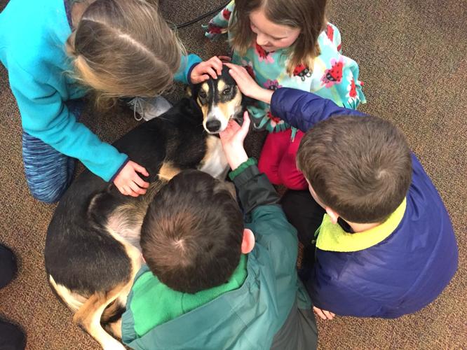 RUCKUS: Iditarod musher Karen Land and her dog Noggin to visit Miles ...