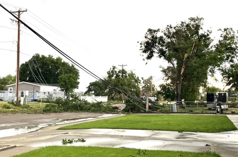 Thursday storm results in wind damage throughout the community ...