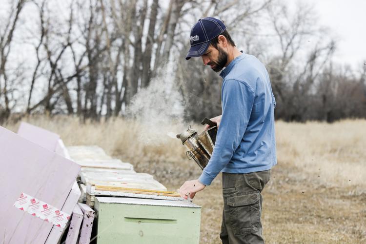 Buzzy Beekeeper: Georgia native takes pride in beekeeping in Eastern ...