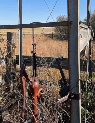 Modern Travelers, Historic Trails: Couple journeys to Dawson’s Belle ...