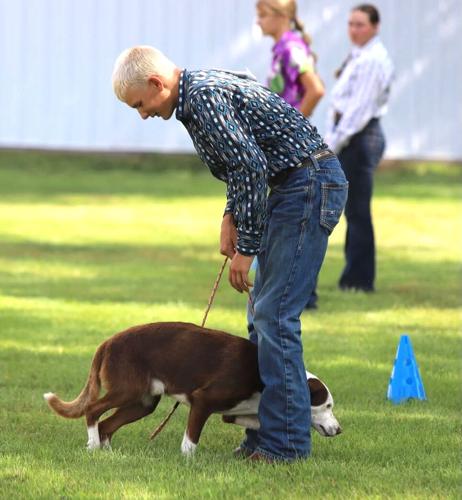 Big Crowds, Big Fun: Dawson County Fair keeps building momentum | News ...