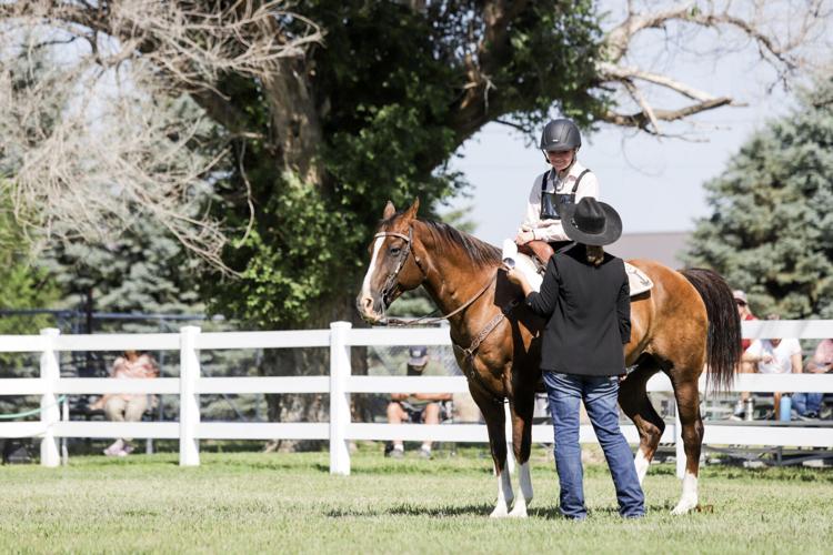 Dawson County 4-H announces 2025 fair winners | Local | rangerreview.com