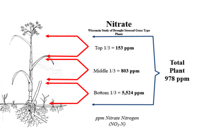 When it comes to winter feeding, finding a balance is essential | News ...