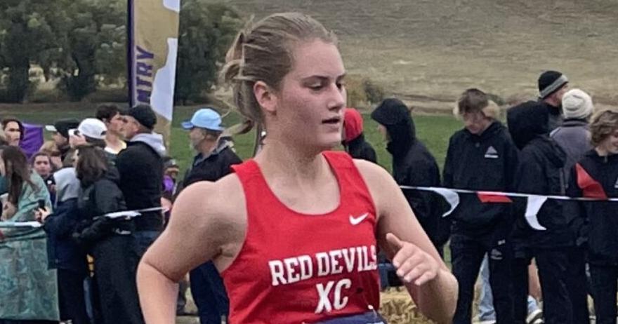Red Devil cross country teams compete at Divisionals | Sports ...