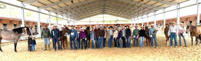 Montana horse breeders promote quarter horse genetics in Europe ...