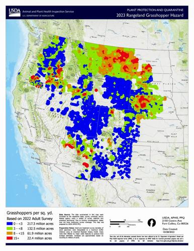 Grasshopper population in Dawson County expected to increase in 2024 ...
