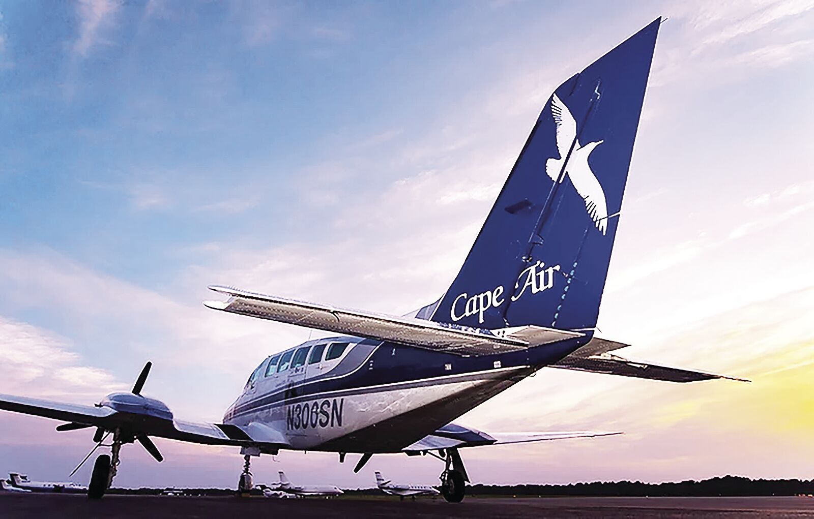 Dawson Community Airport flights see high on-time rates, minor schedule ...