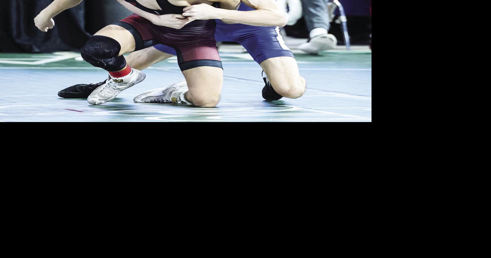 Four Red Devil wrestlers place at state | Sports | rangerreview.com