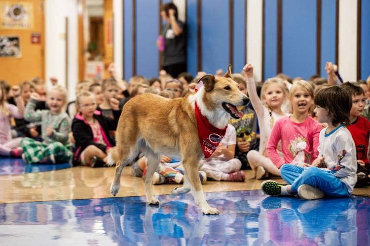 Go Big Red! Homecoming week promotes school spirit, hype for weekend ...