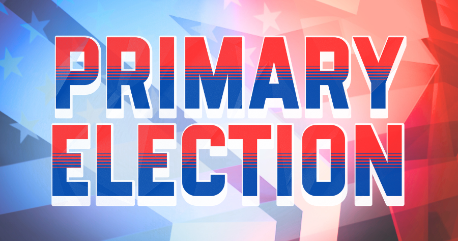 Eaton unseats Mitchell in Dawson County Commission race; ballot issues ...