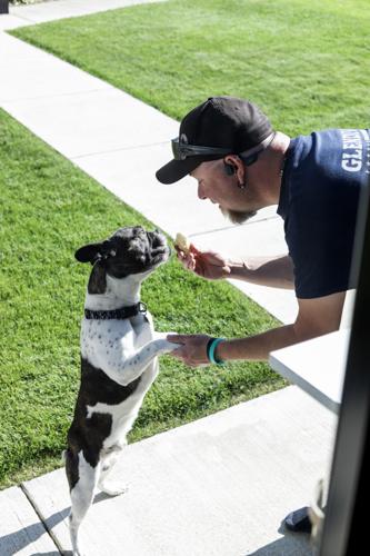 Where Dreams Come Scooped: Tailgators sparks childhood memories with ...