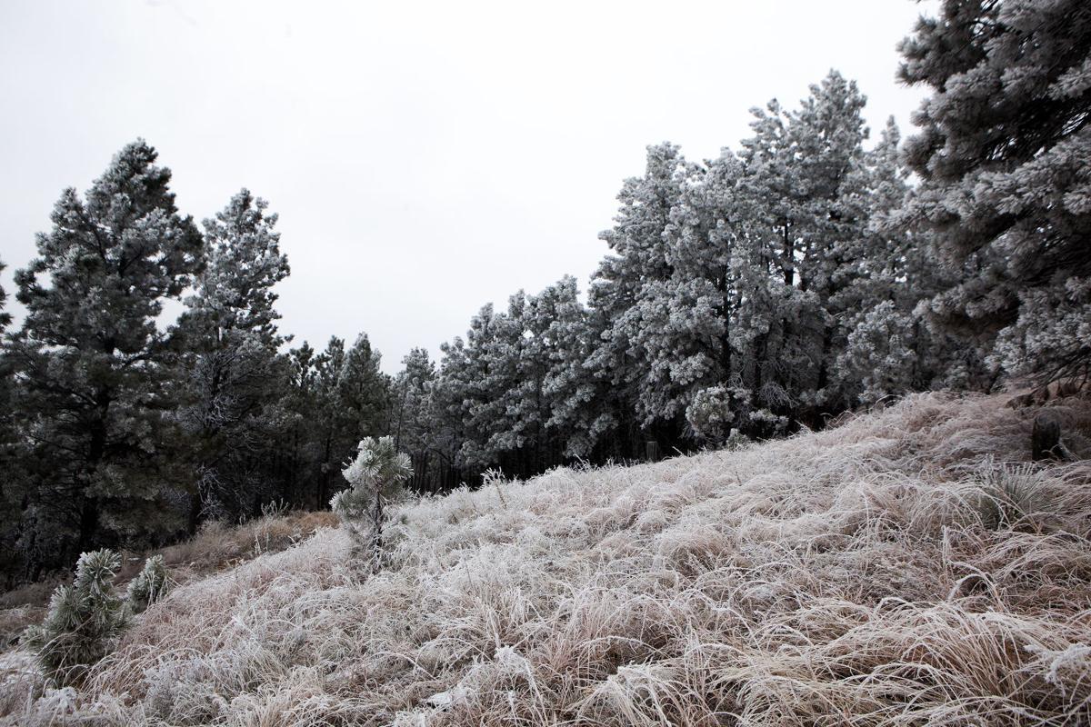 Storm brings freezing drizzle then snow